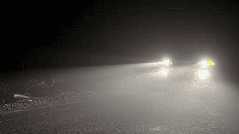 Fog Lights vs High Beams: When to Use Each Safely