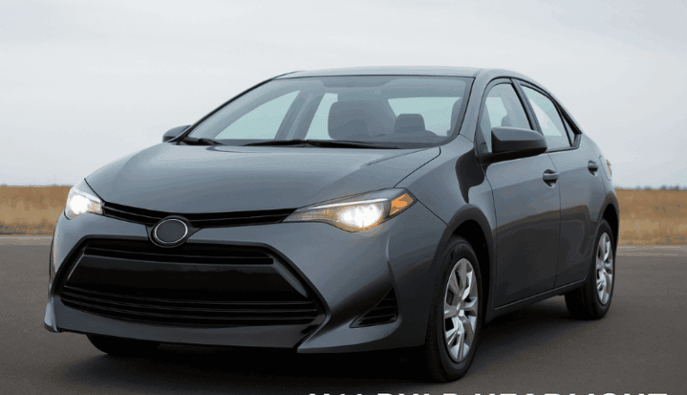 Headlight & Fog Light Bulb Cross-Reference Guide